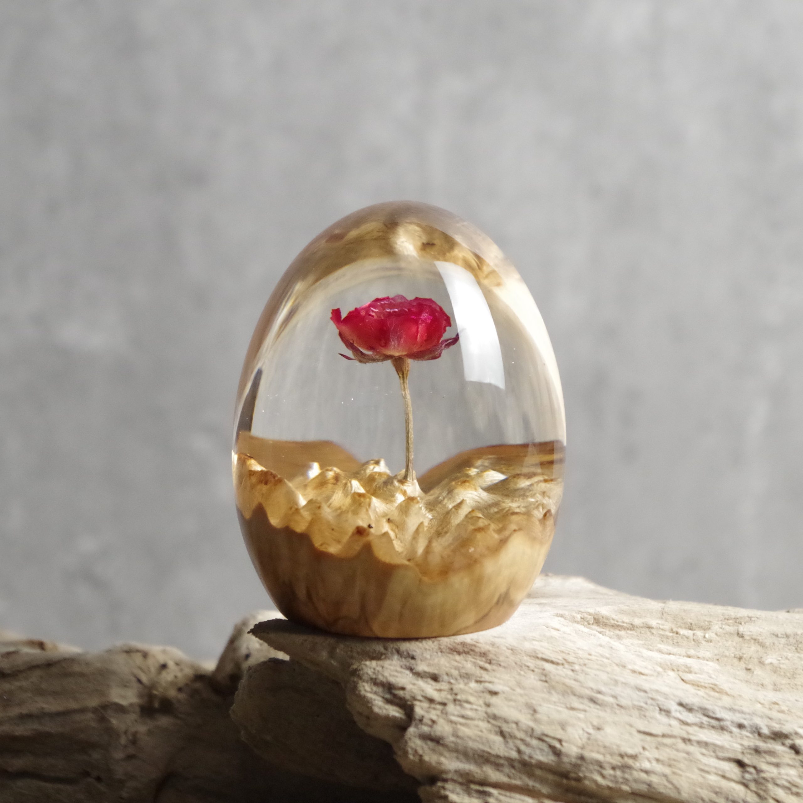 Handcrafted Paperweight - Encapsulated Crystal & Botanical Art